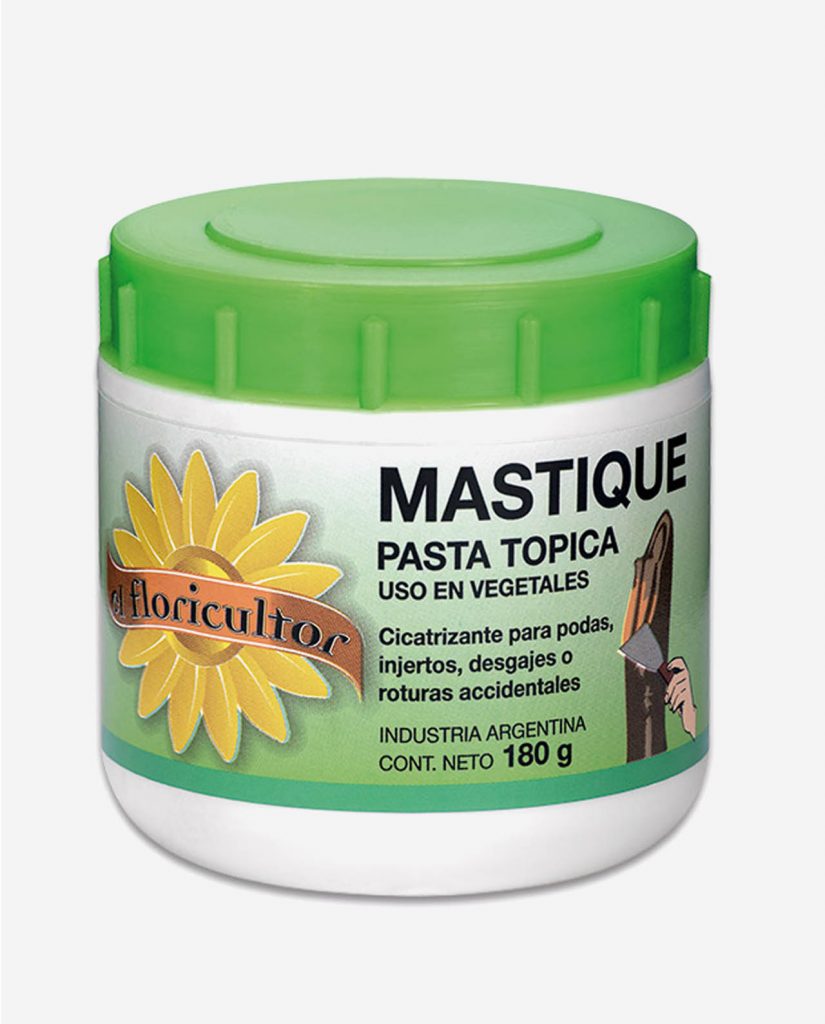 Mastique – Envasadora Caseros